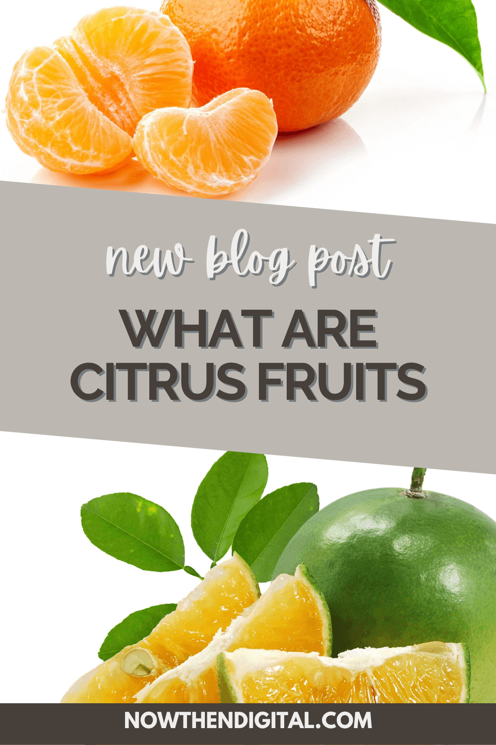 Citrus Fruits: Types and Health Benefits of Eating Them - Now Then Digital